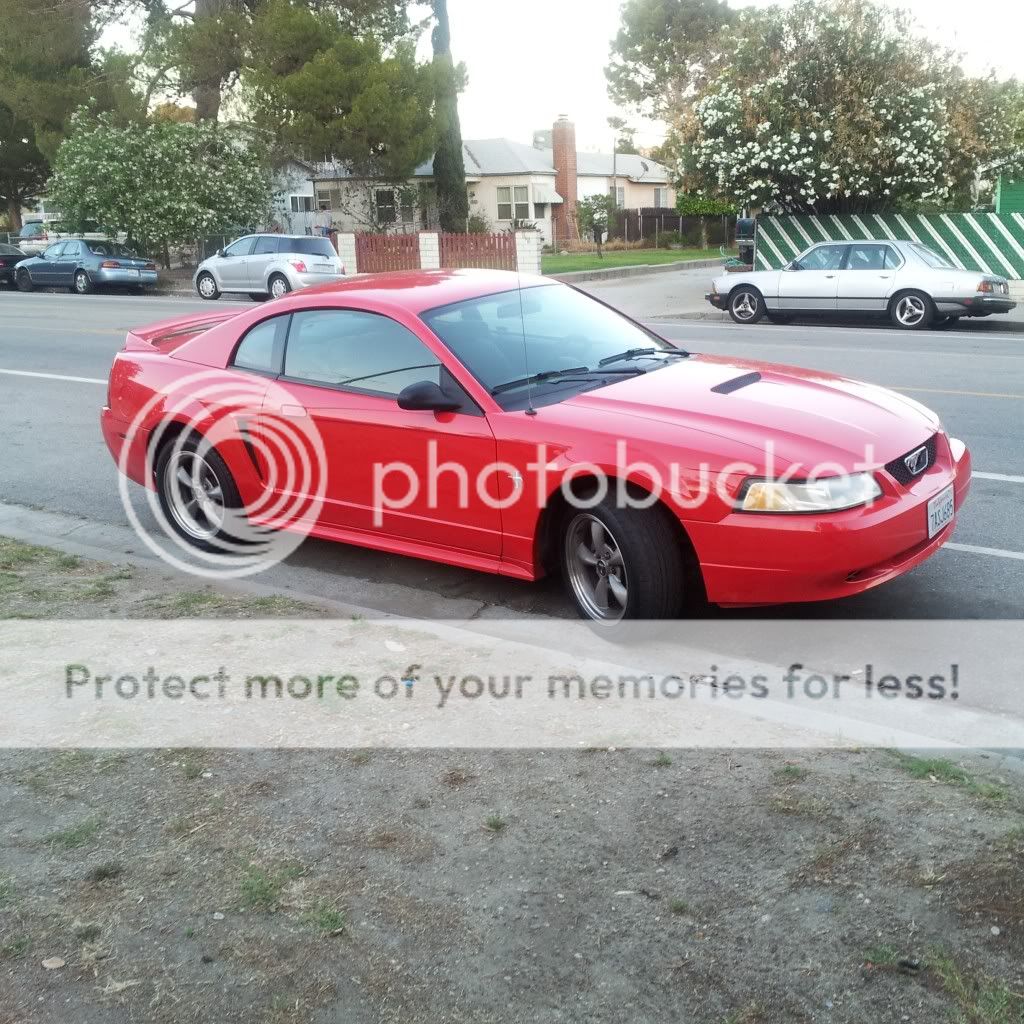 Red Mustang Club | Page 7 | SN95Forums The Only SN95 1994-2004 ...
