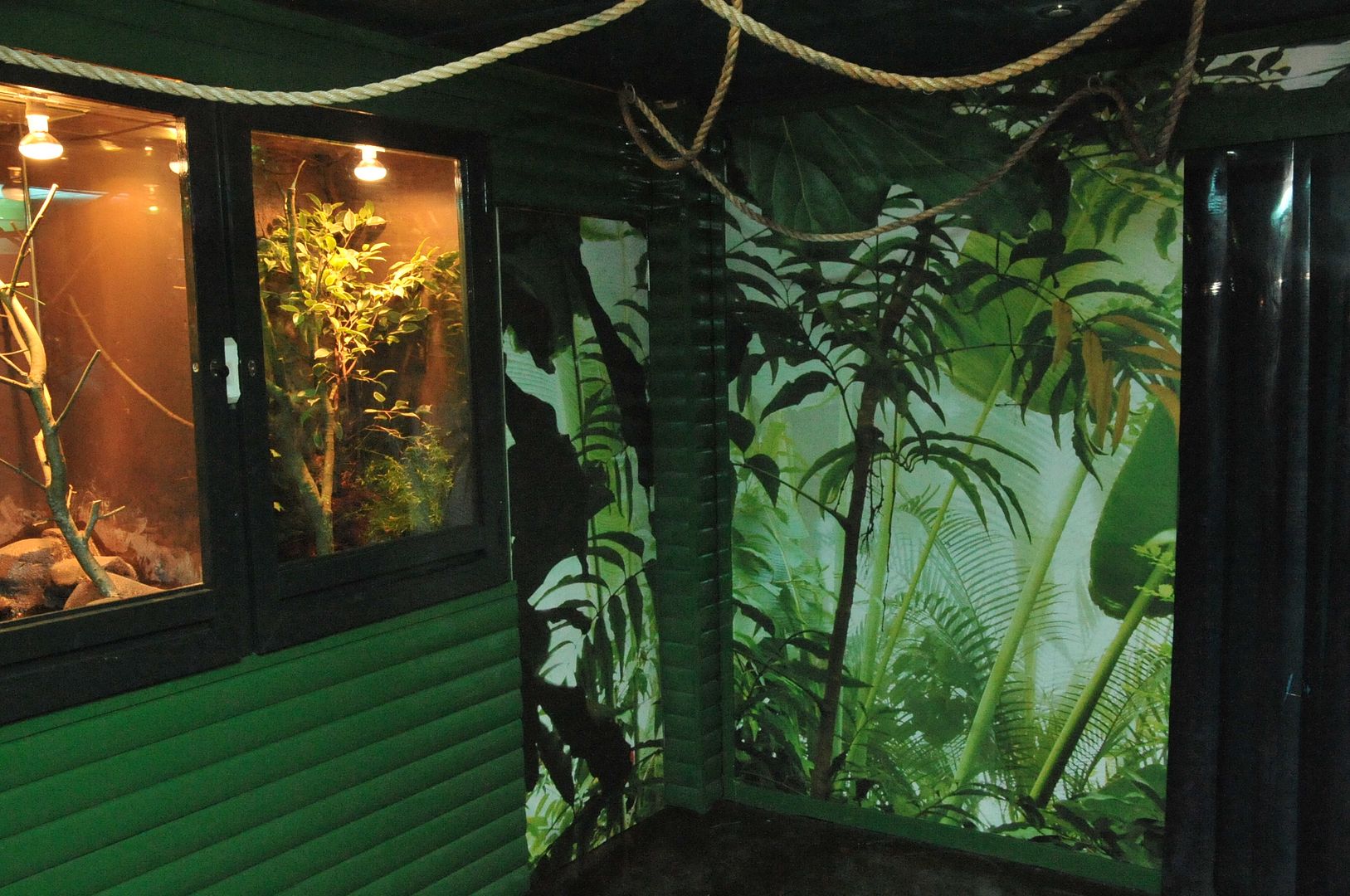 New Zoo Displays, Commercial Project | Page 12 | Reptile Forums