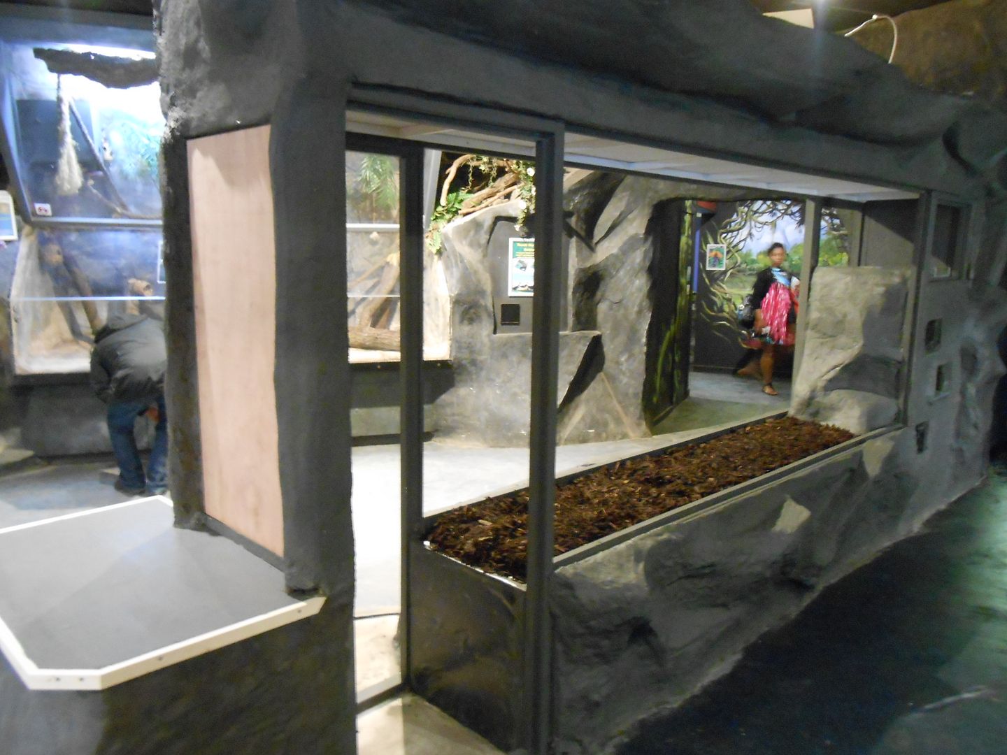 New Zoo Displays, Commercial Project | Page 21 | Reptile Forums