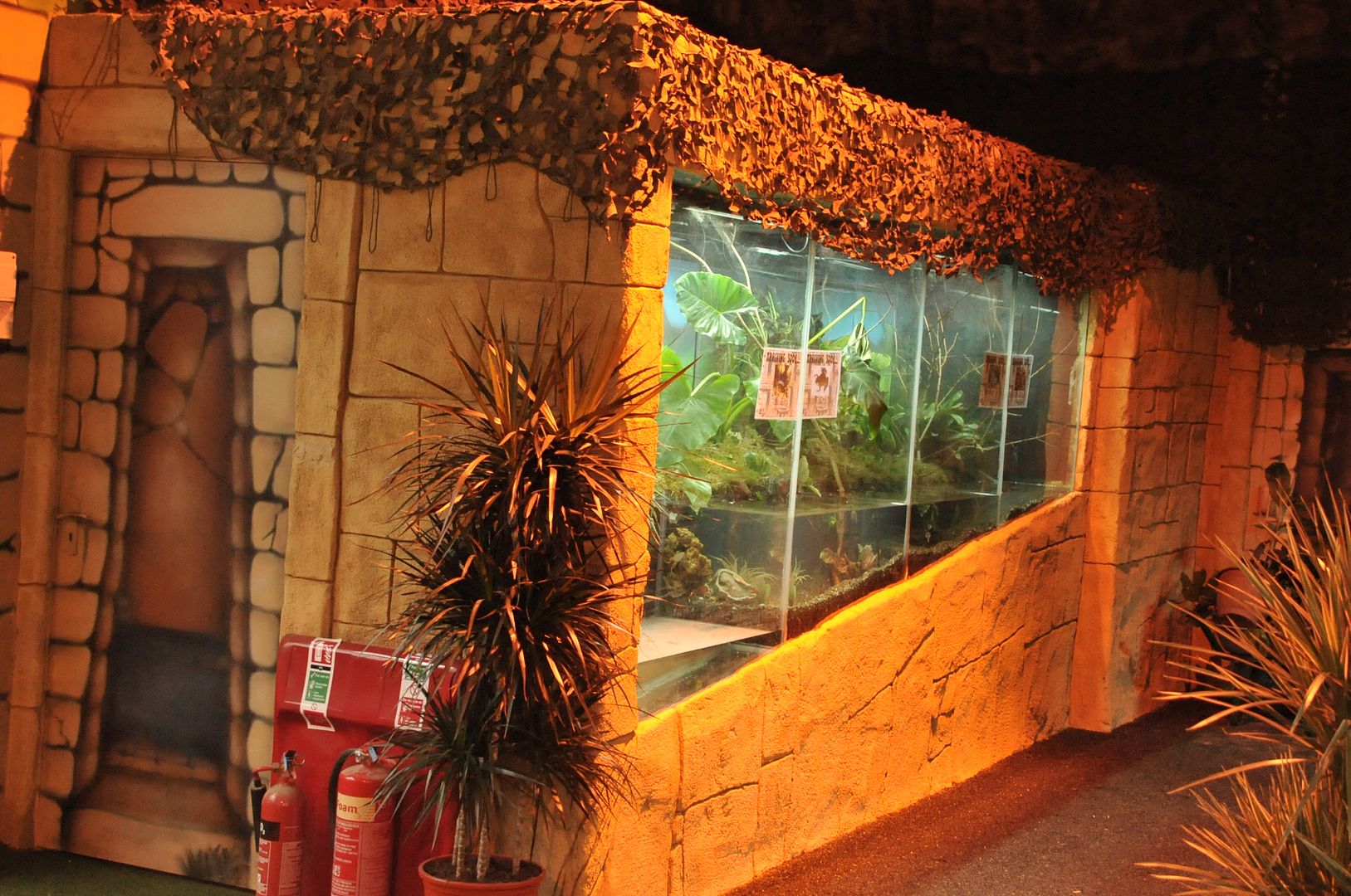 New Zoo Displays, Commercial Project | Page 29 | Reptile Forums